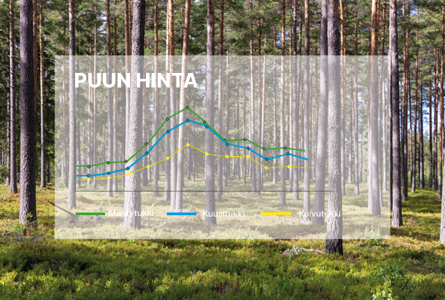 Puun hinta - Metsänhoitoyhdistys