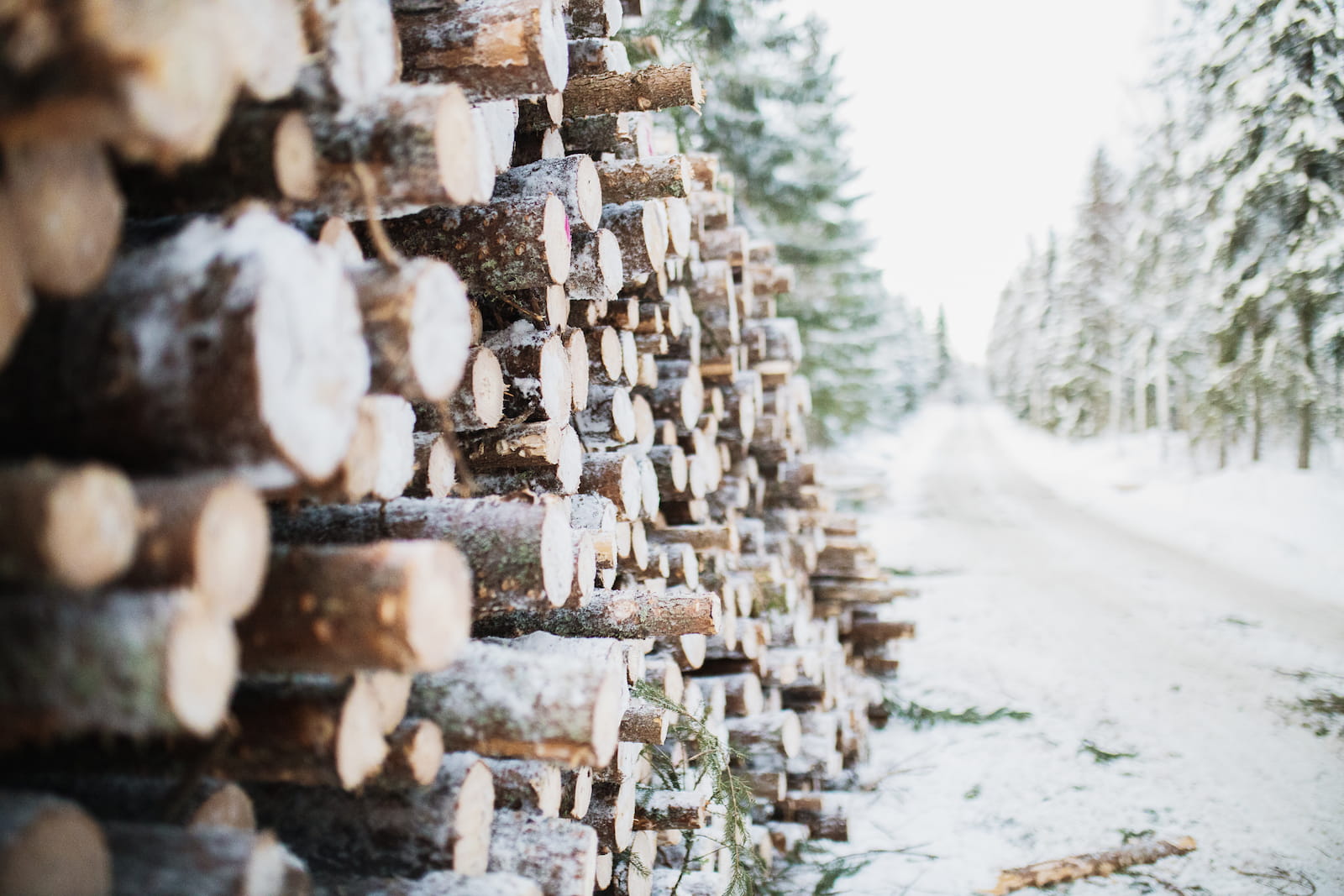Puukaupan muistilista - Metsänhoitoyhdistys Etelä-Savo