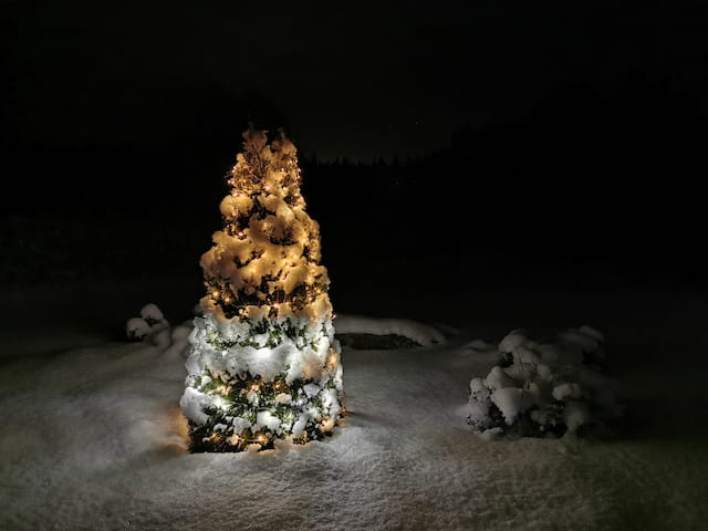 Metsäteollisuuden tuotemarkkinoiden vaikutukset heijastuvat puukauppaan ...