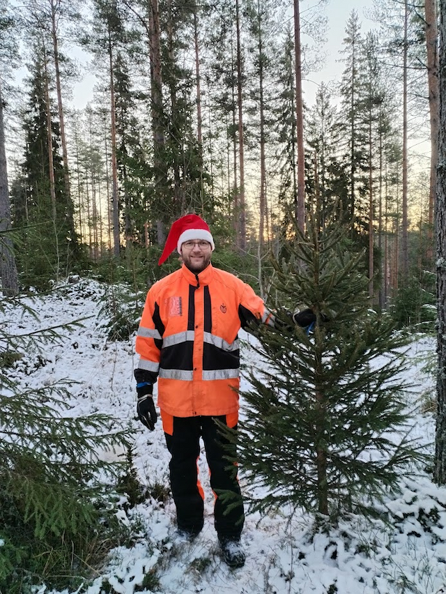 Metsäteollisuuden tuotemarkkinoiden vaikutukset heijastuvat puukauppaan ...