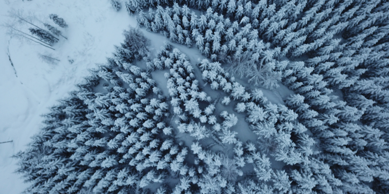 Puumarkkinakatsaus marraskuu 2023 - Metsänhoitoyhdistys