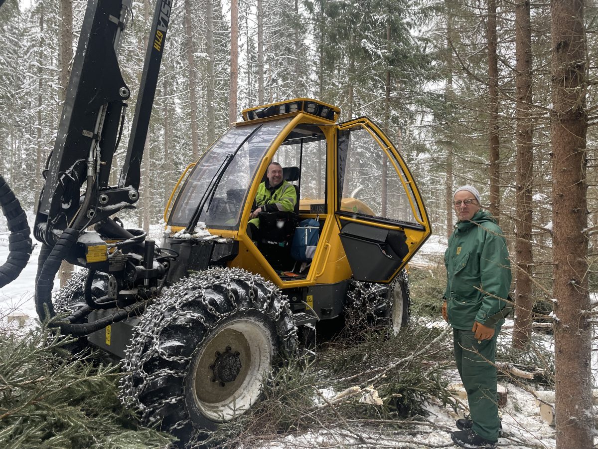 Mhy Roineelta löytyy pienempää kalustoa ensiharvennuksille ...