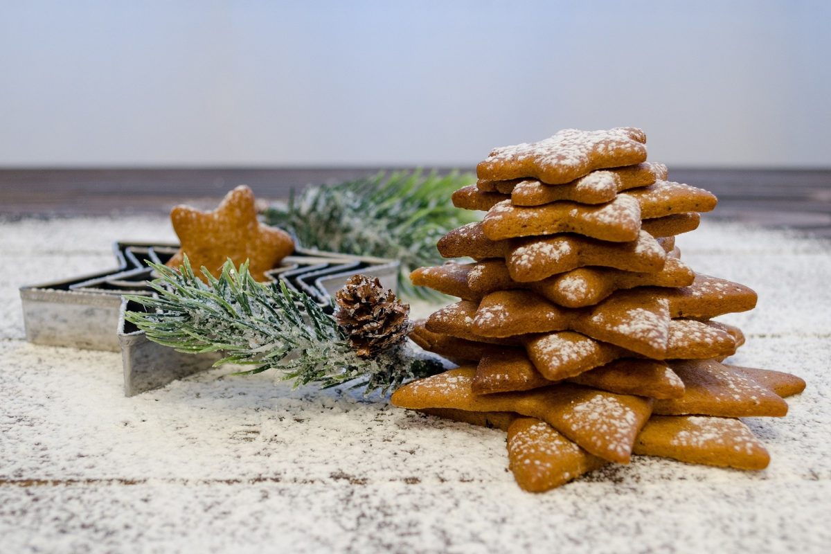 Joulukahvit Somerolla - Metsänhoitoyhdistys Salometsä