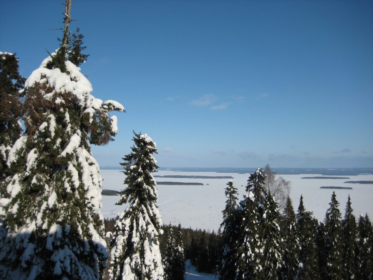Metsänhoitoyhdistys Savotan valtuusto kokoontui - Metsänhoitoyhdistys ...