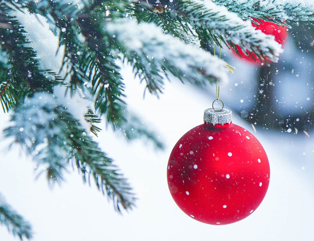 Mhy Metsä-Lappi kutsuu joulukahveille 18.12. - Metsänhoitoyhdistys Metsä-Lappi