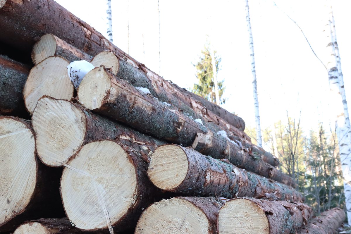 Puumarkkinakatsaus huhtikuu 2023 - Metsänhoitoyhdistys Etelä-Savo