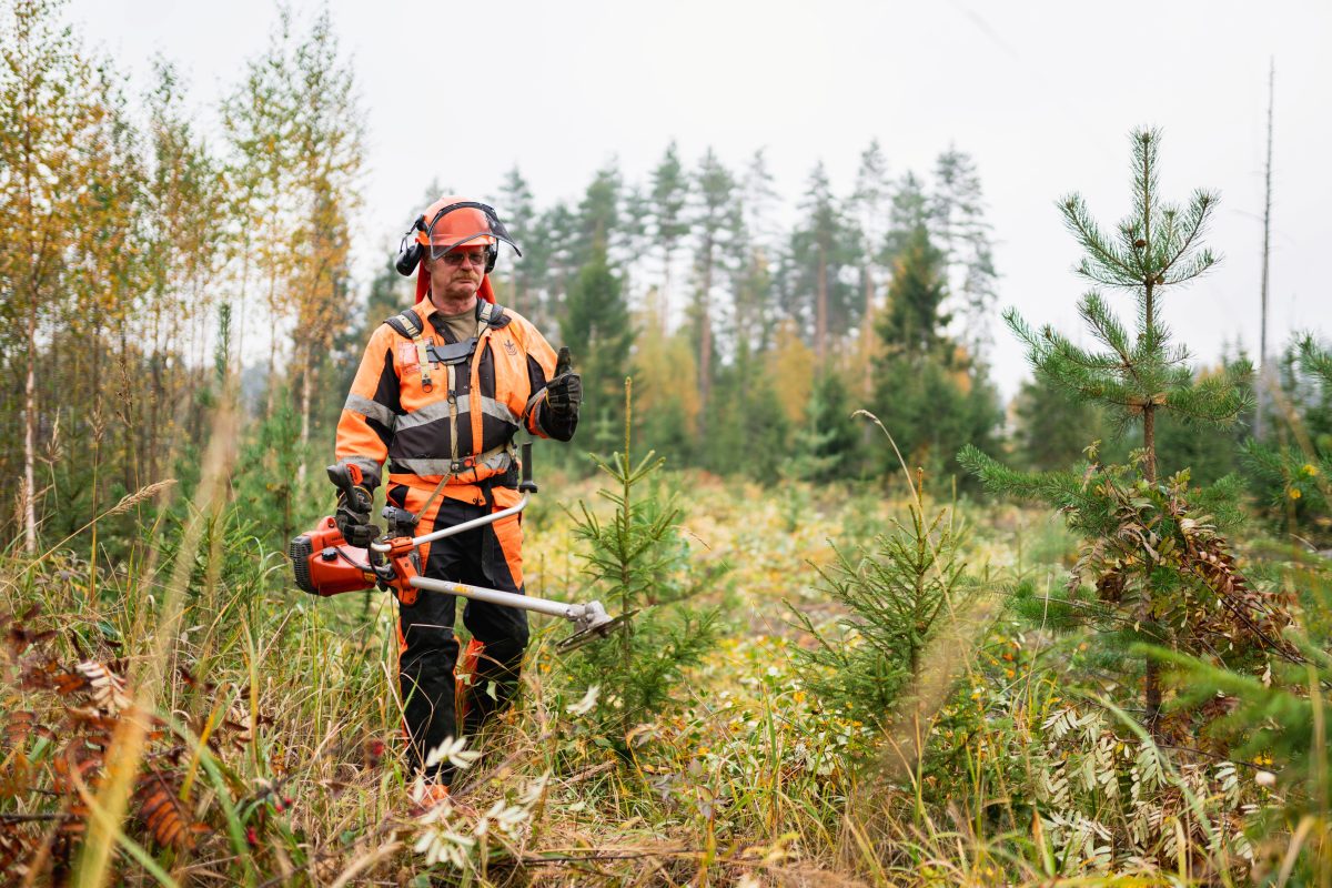 Taimikonhoitotyönäytös - Metsänhoitoyhdistys Etelä-Savo