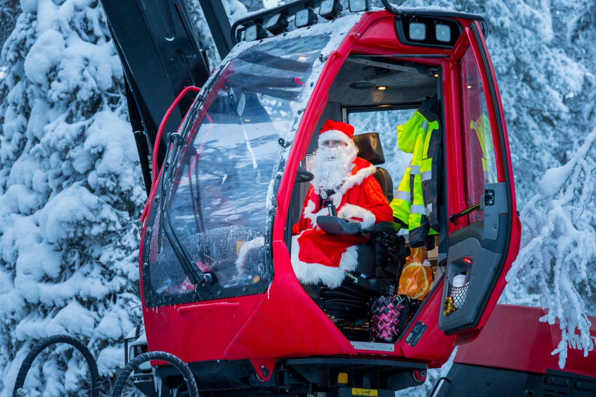 Metsäteollisuuden tuotemarkkinoiden vaikutukset heijastuvat puukauppaan ...